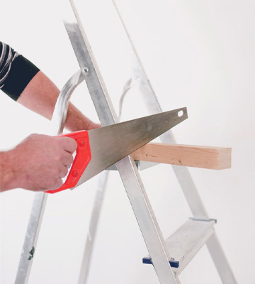 Why Paying a Fair Salary is More Important? | Legion Pest Control